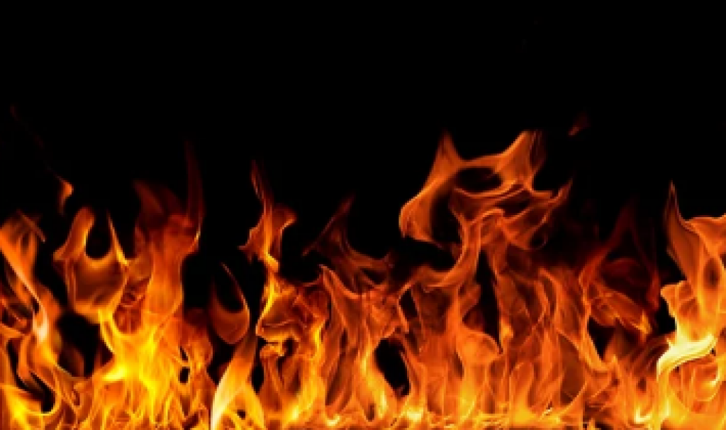 Le Brésil joue avec le feu : L'Amazonie en proie aux flammes - Comité ...